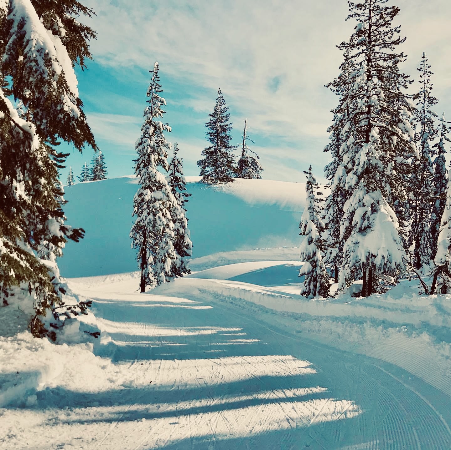 The Cascade Crest Nordic Race & Tour – Mt. Bachelor Sports Education ...